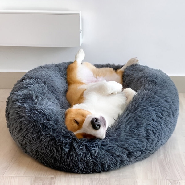 Postelja za pse in mačke | COMFYDEN – Vigoshop.si